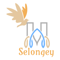 SELONGEY - Découverte de SELONGEY à travers son histoire et son patrimoine