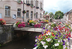 SELONGEY - Bienvenue à SELONGEY